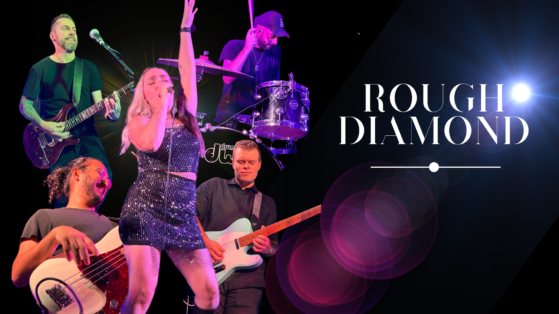 Rough Diamond - The Sphere Organization